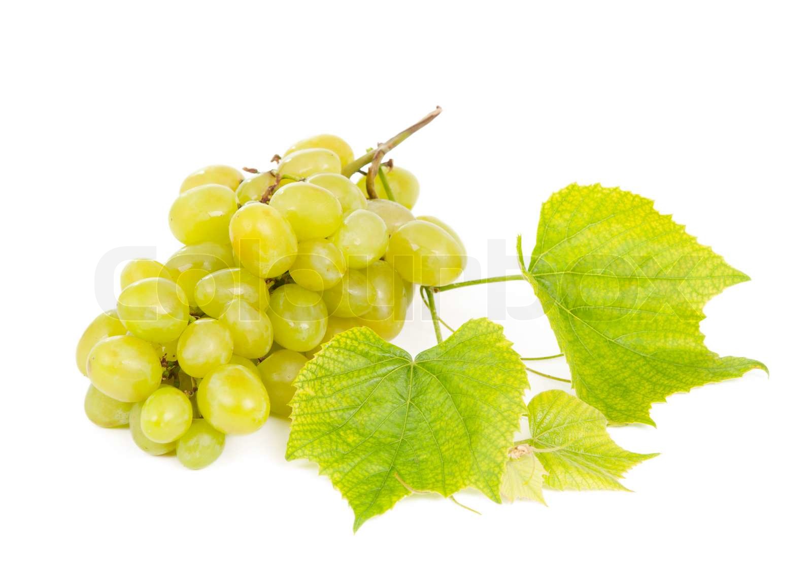 Traube auf weißem Hintergrund | Stock Bild | Colourbox