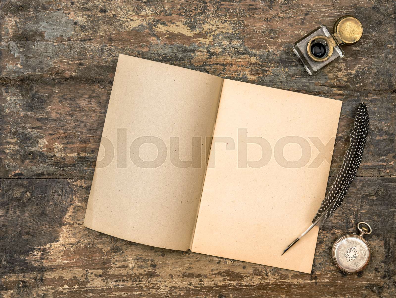 Open Old Diary