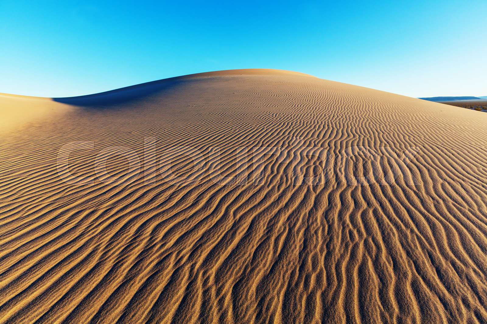 Sand dune | Stock image | Colourbox