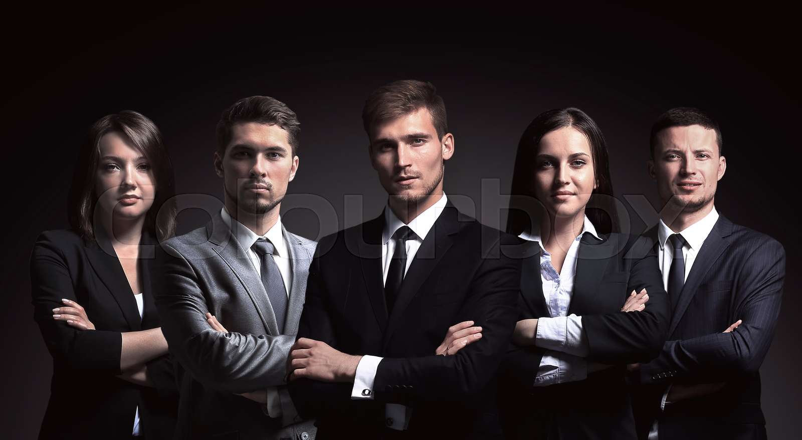 Portrait of five business people standing | Stock image | Colourbox