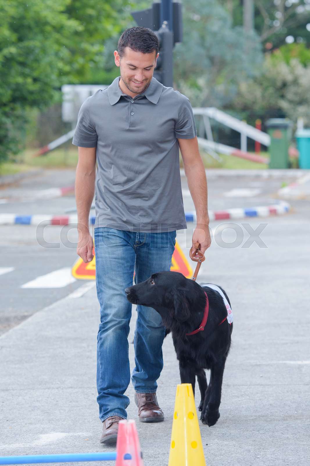 man training dog | Stock image | Colourbox