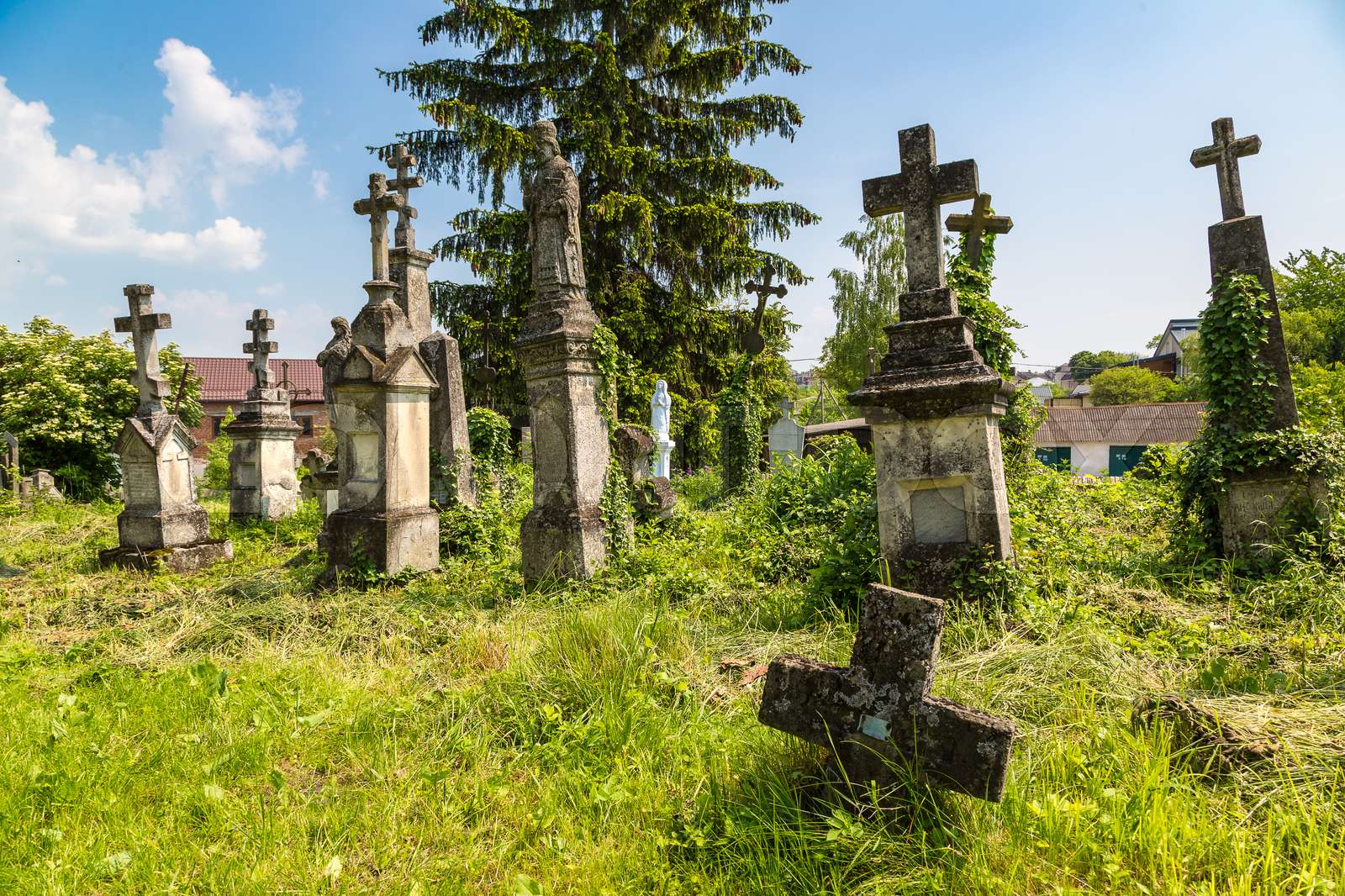 Old cemetery in Ukraine | Stock image | Colourbox