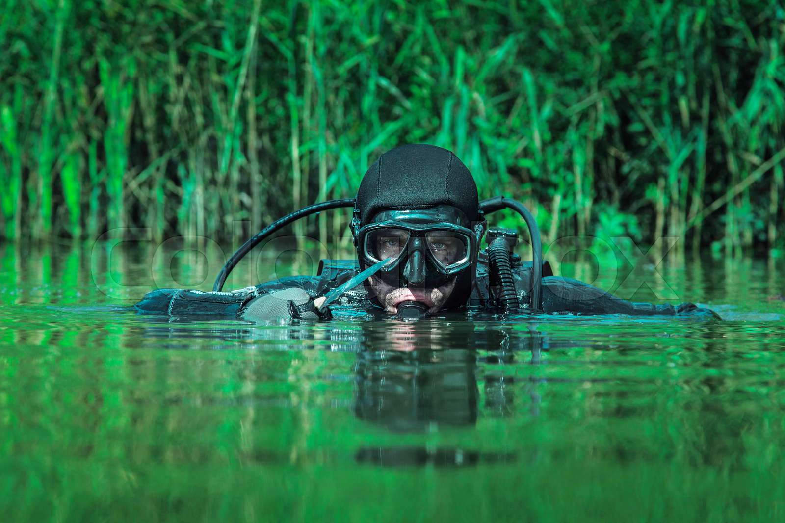 Navy SEAL frogman | Stock image | Colourbox