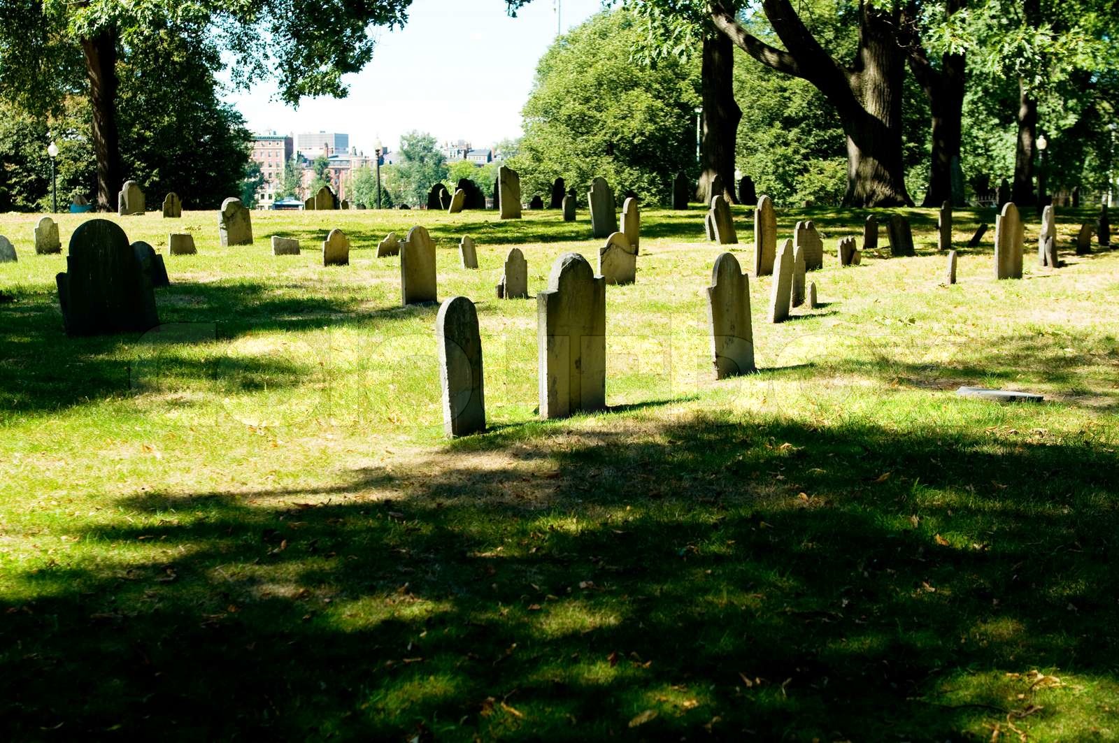 Cemetery with many tombstones on the bright day | Stock image | Colourbox