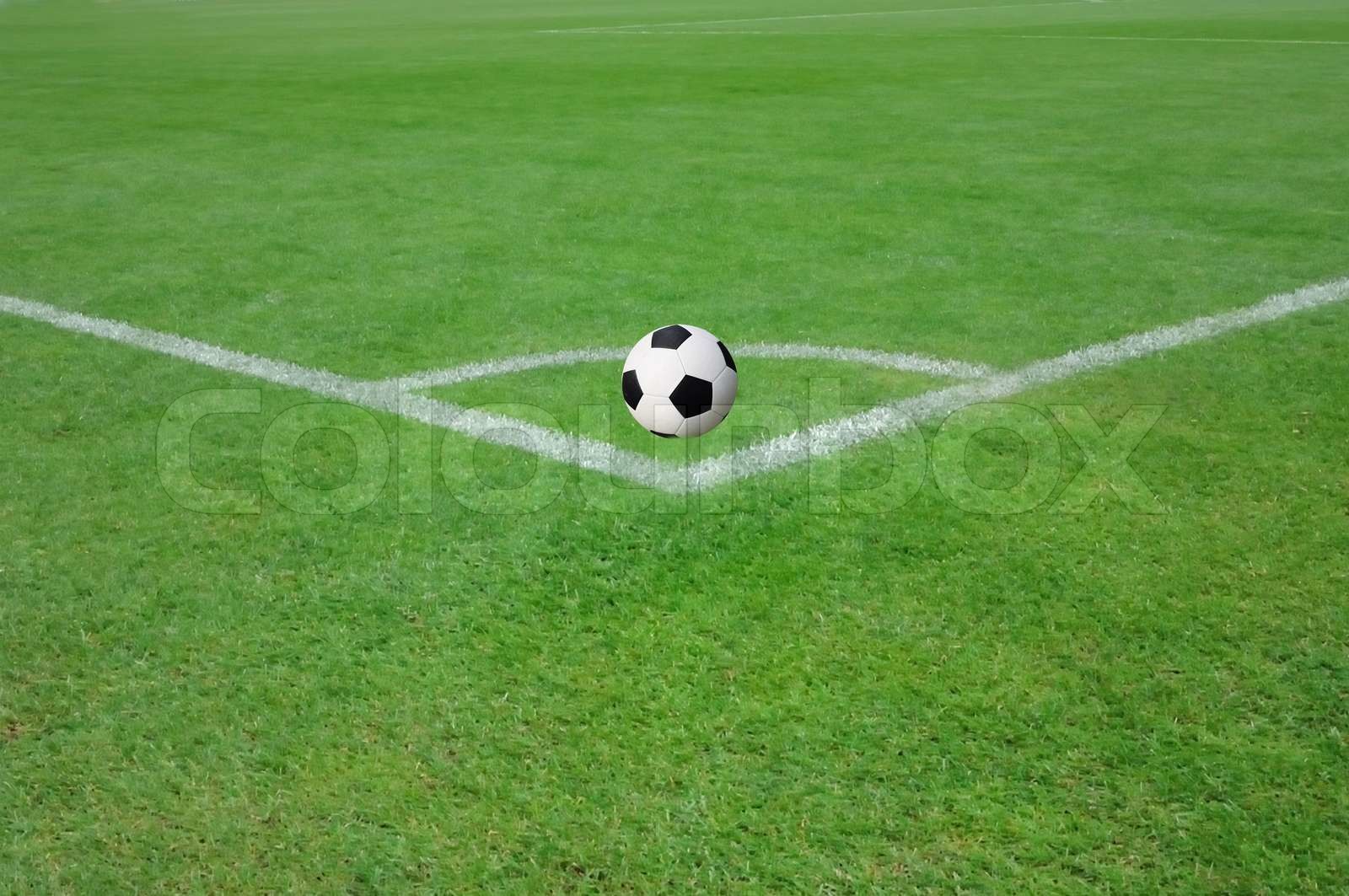 Soccer field | Stock image | Colourbox