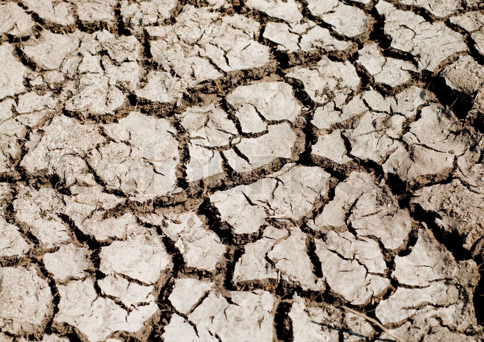 desert rough land dry crack erosion | Stock image | Colourbox