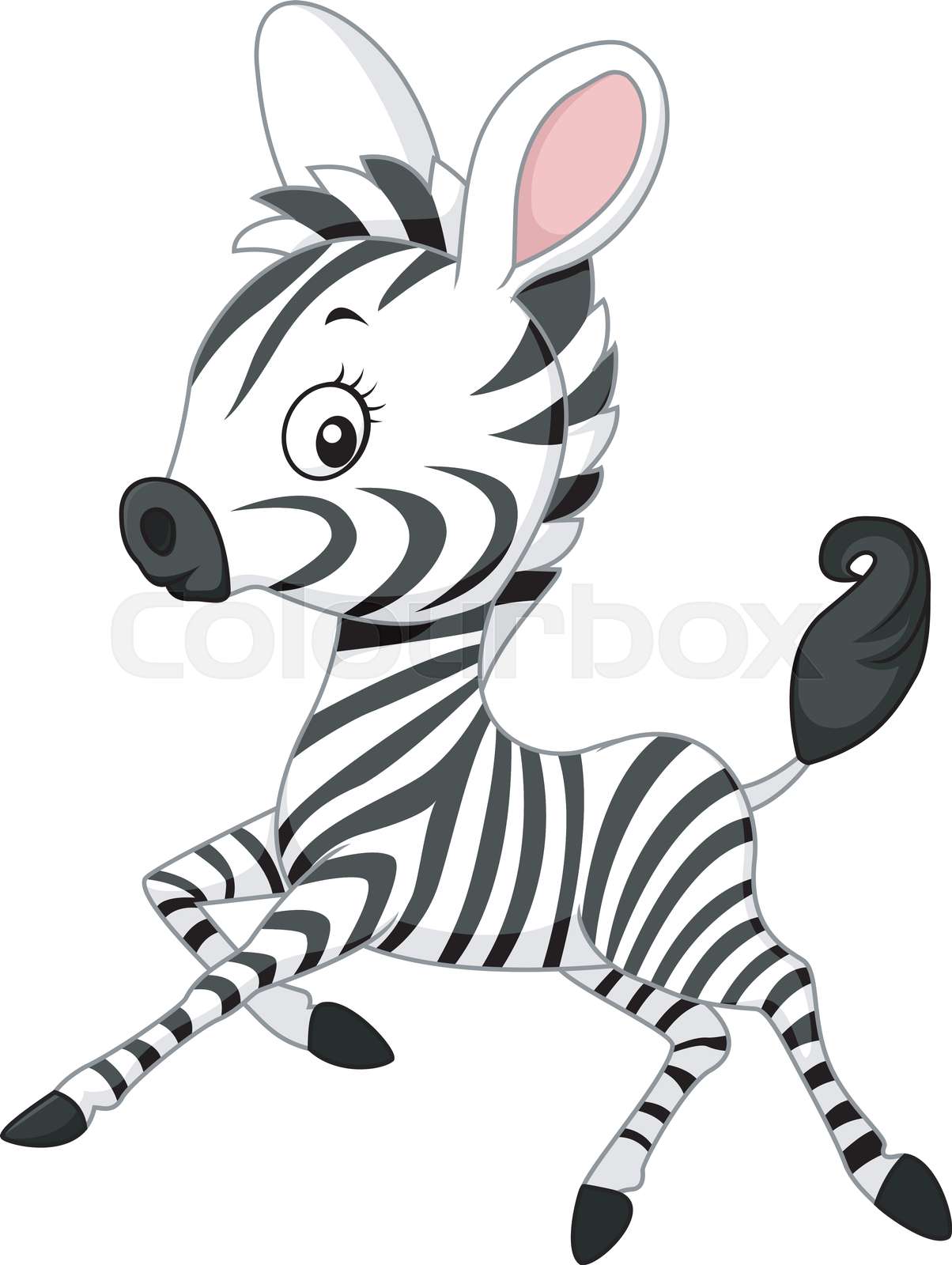 Cartoon funny zebra | Stock vector | Colourbox
