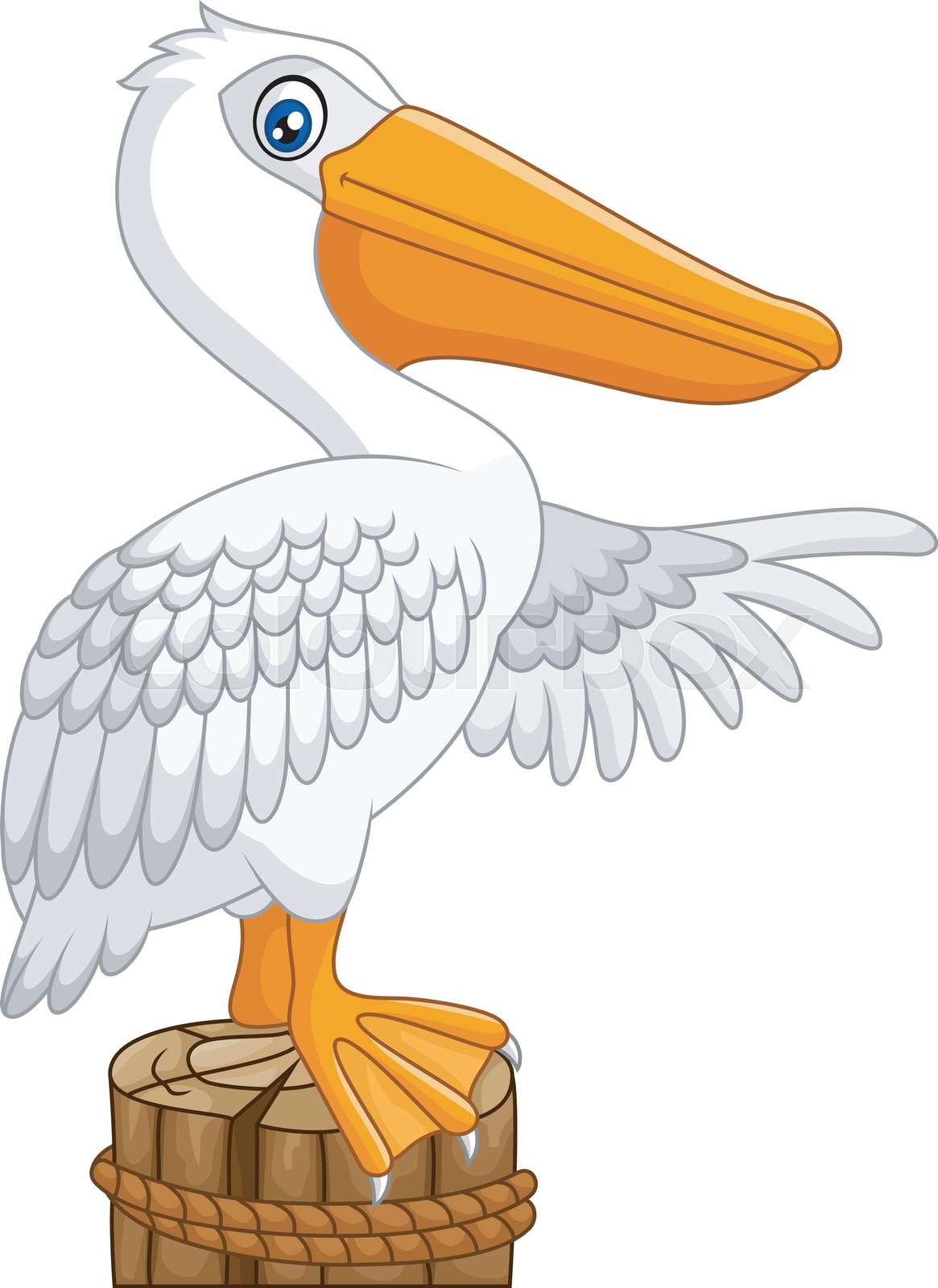 Cartoon Pelican in the bay | Stock vector | Colourbox