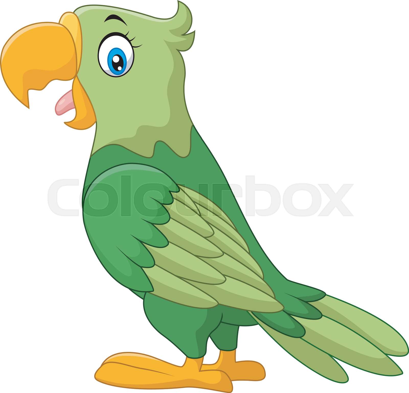 Happy parrot cartoon | Stock vector | Colourbox