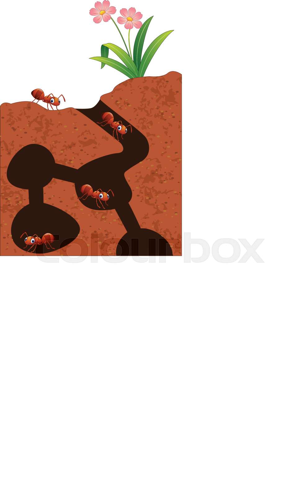 Cartoon ants colony | Stock vector | Colourbox