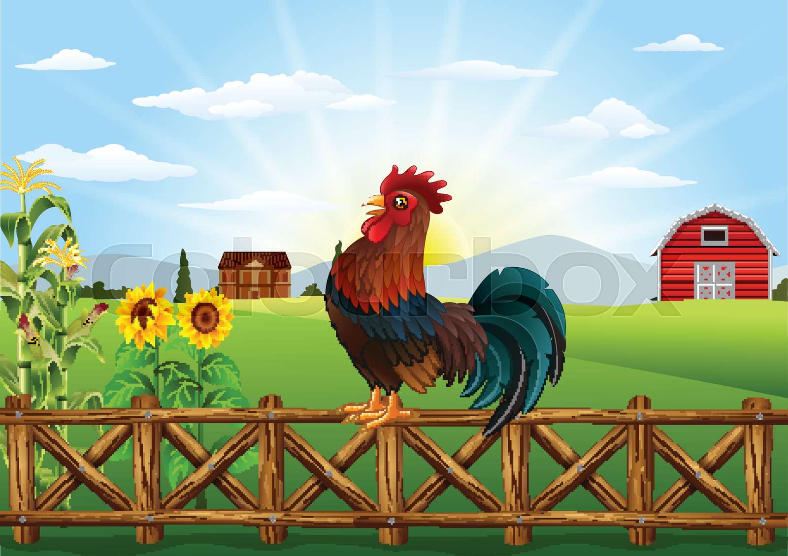 Cute cartoon rooster crowing in the farm fence | Stock vector | Colourbox