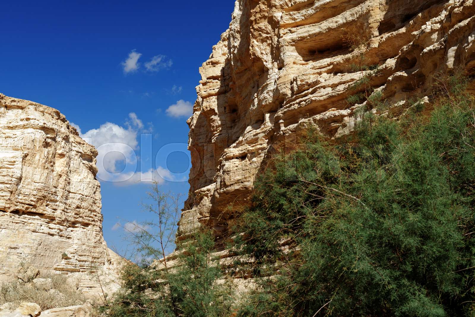 Scenic cliffs of Ein Avdat (Ein Ovdat) gorge in Israel | Stock image ...