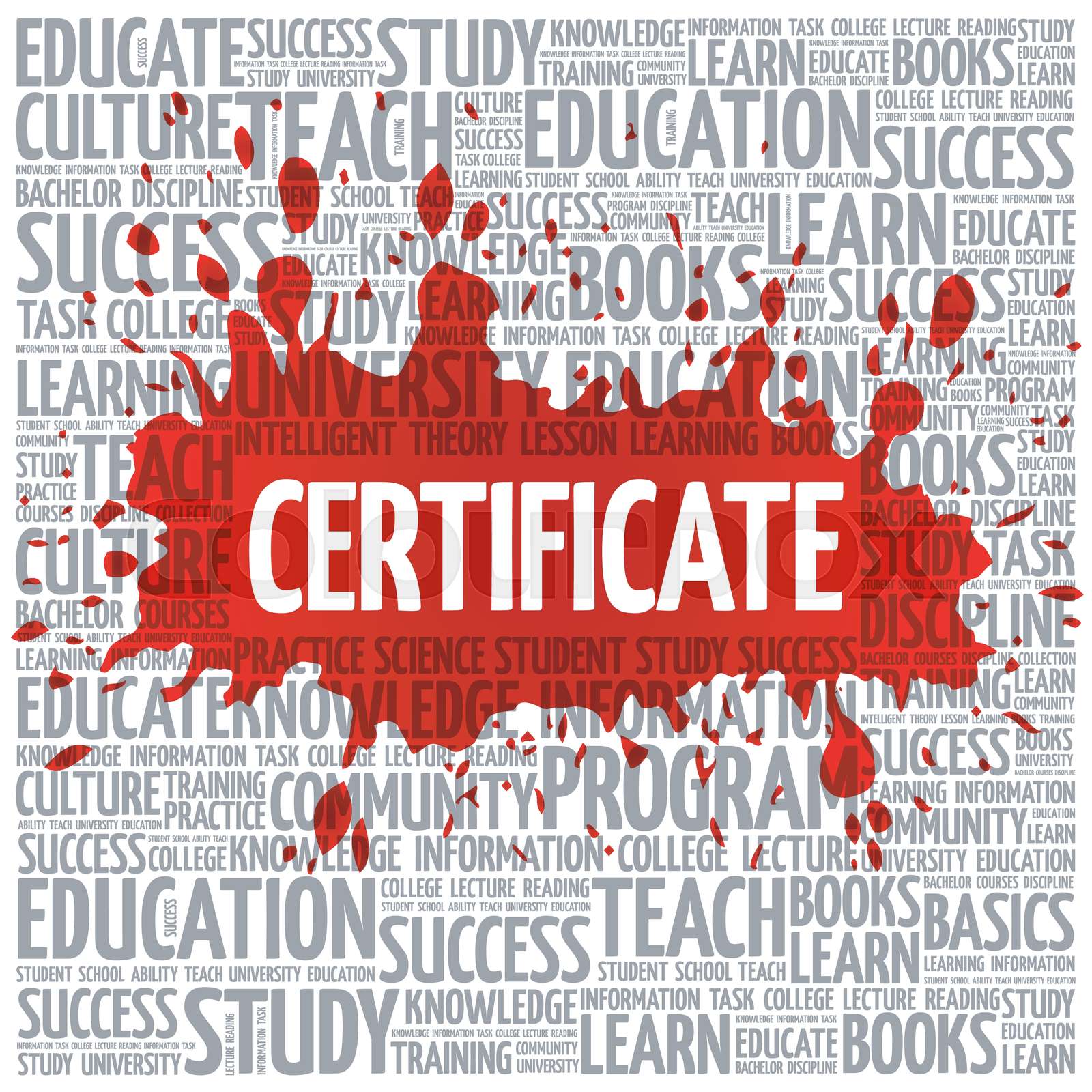 CERTIFICATE word cloud | Stock vector | Colourbox