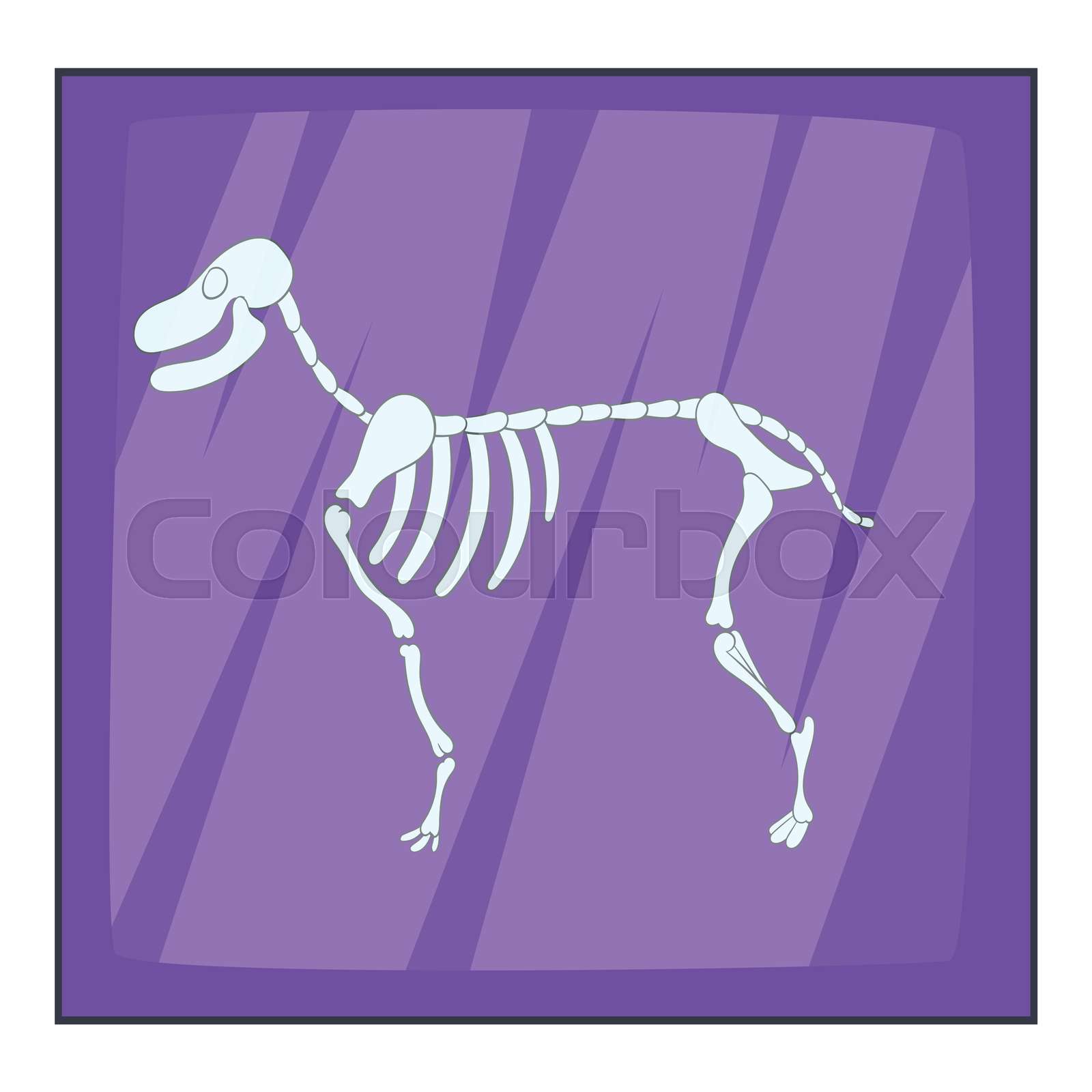 Dog skeleton icon, cartoon style | Stock vector | Colourbox