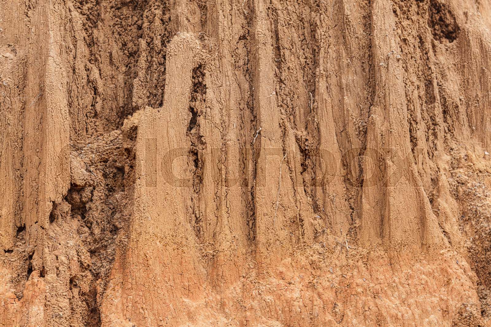 Texture of soil wall | Stock image | Colourbox