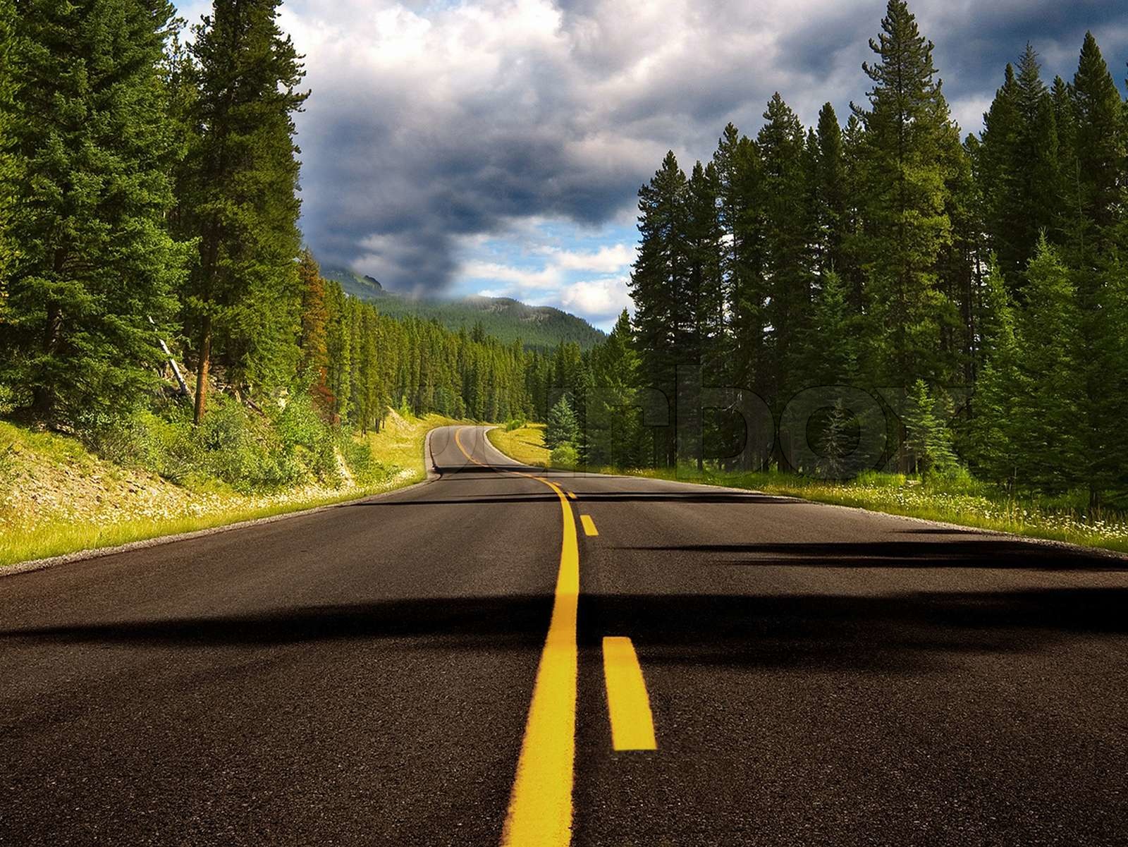 Asphalt Straße, die durch den Wald hautnah | Stock Bild | Colourbox