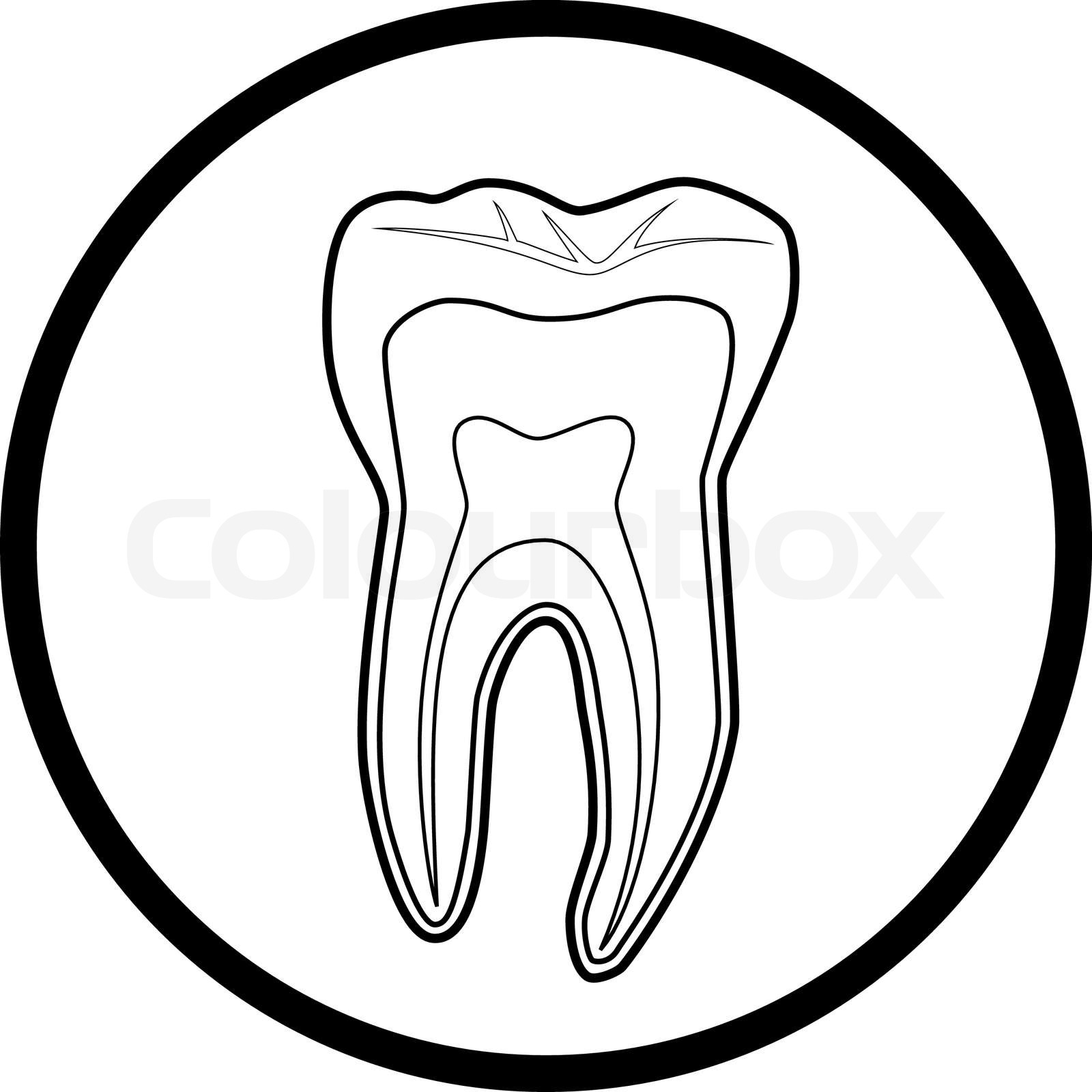 diente, silueta, vector | Vector de archivo | Colourbox