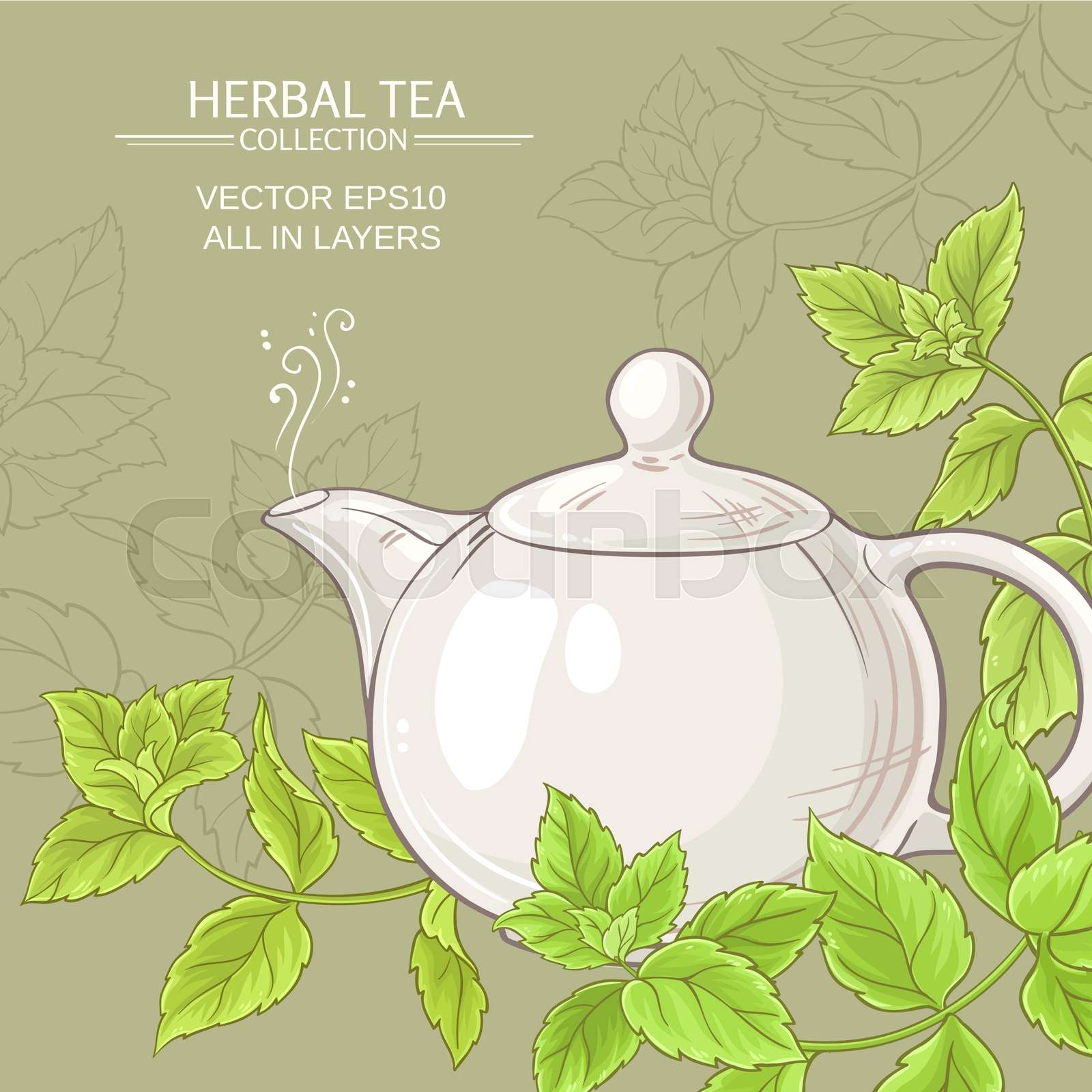 peppermint tea in teapot | Stock vector | Colourbox