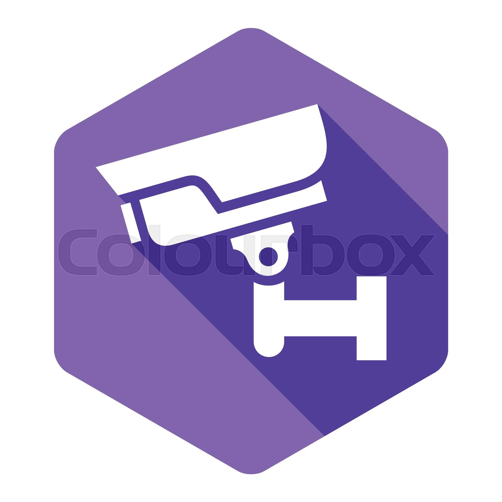 Video surveillance symbol | Stock vector | Colourbox
