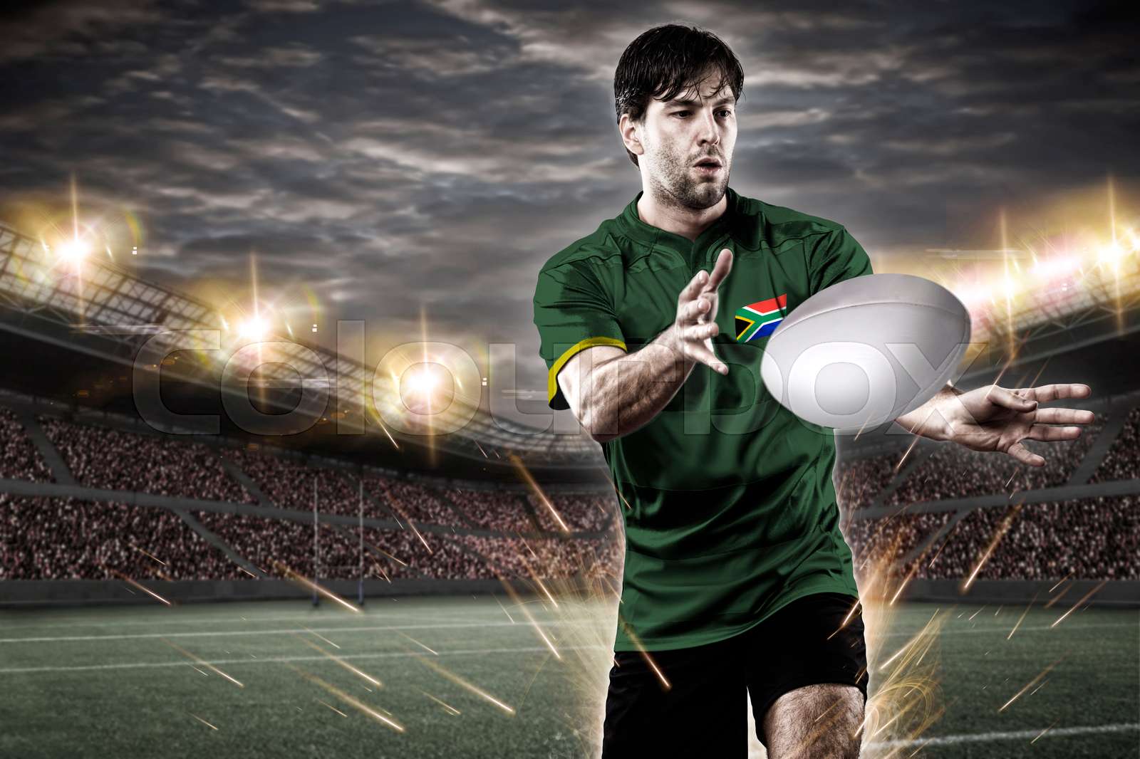 South African rugby player | Stock image | Colourbox