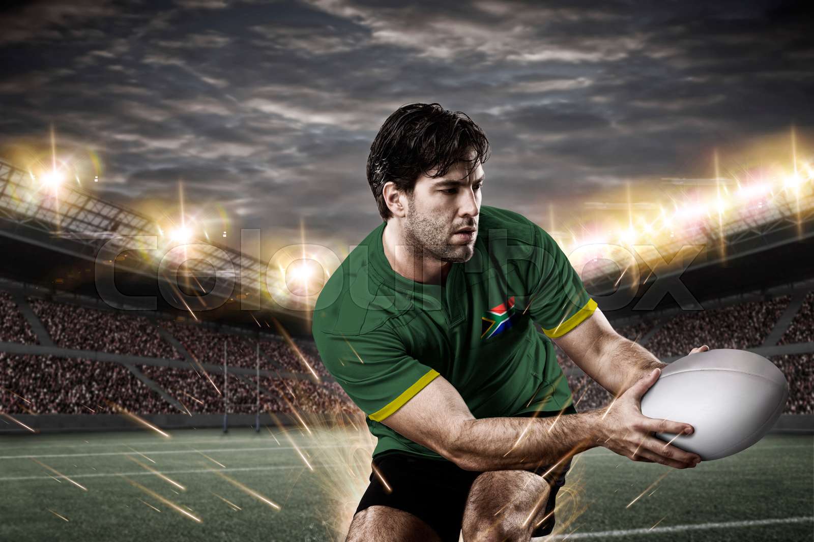 South African rugby player | Stock image | Colourbox