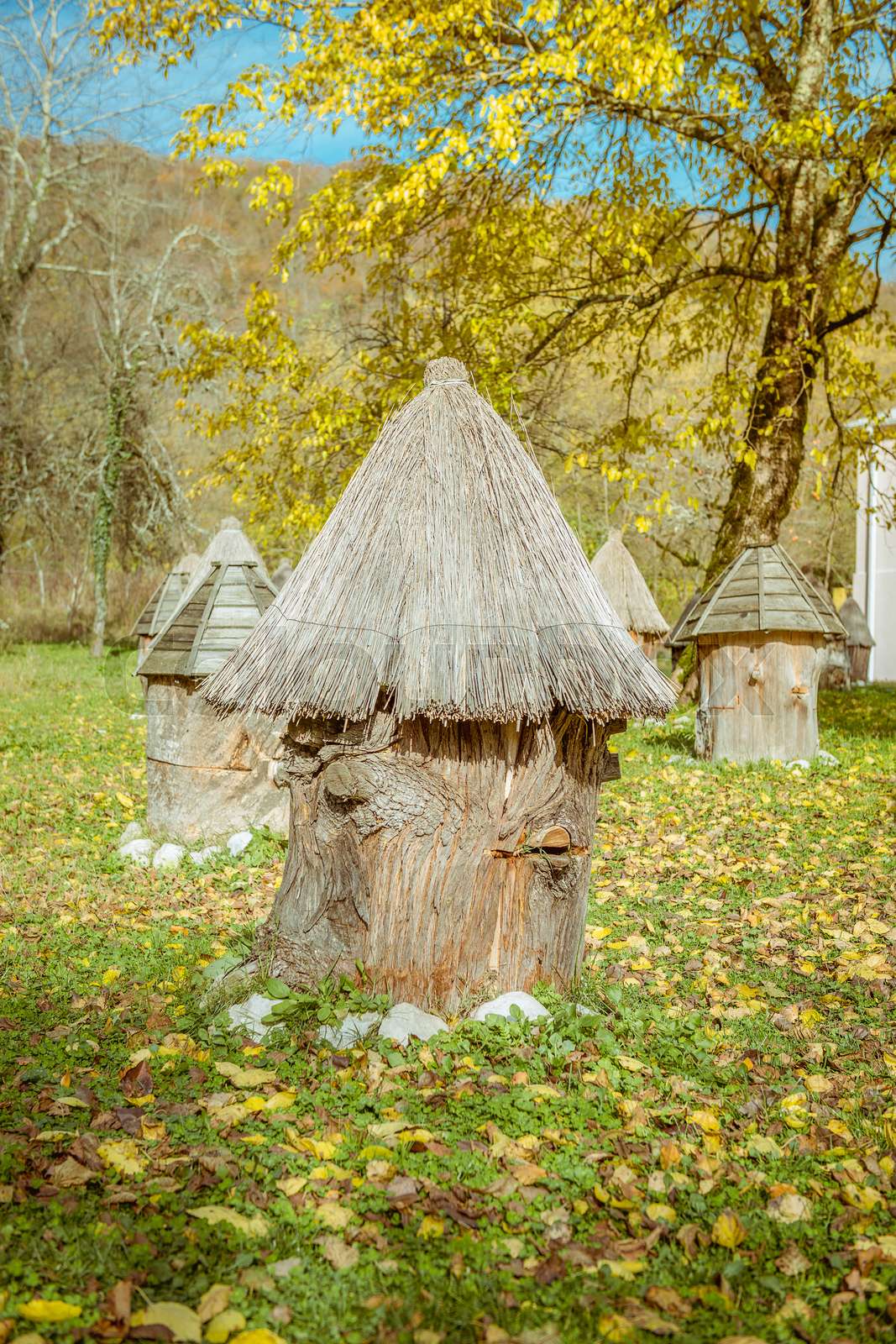 beehive with thatched roof | Stock image | Colourbox