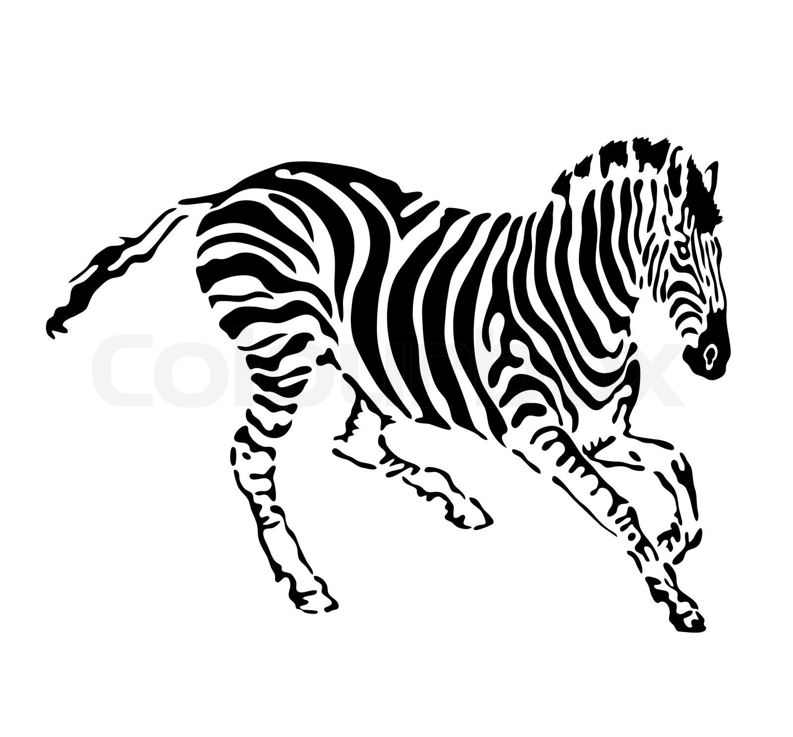 zoology, zebra, drawing | Stock vector | Colourbox