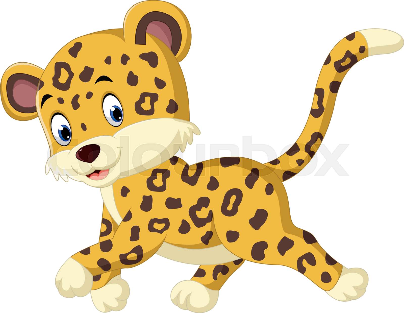 leopard, panthera, freigestellt | Stock-Vektor | Colourbox