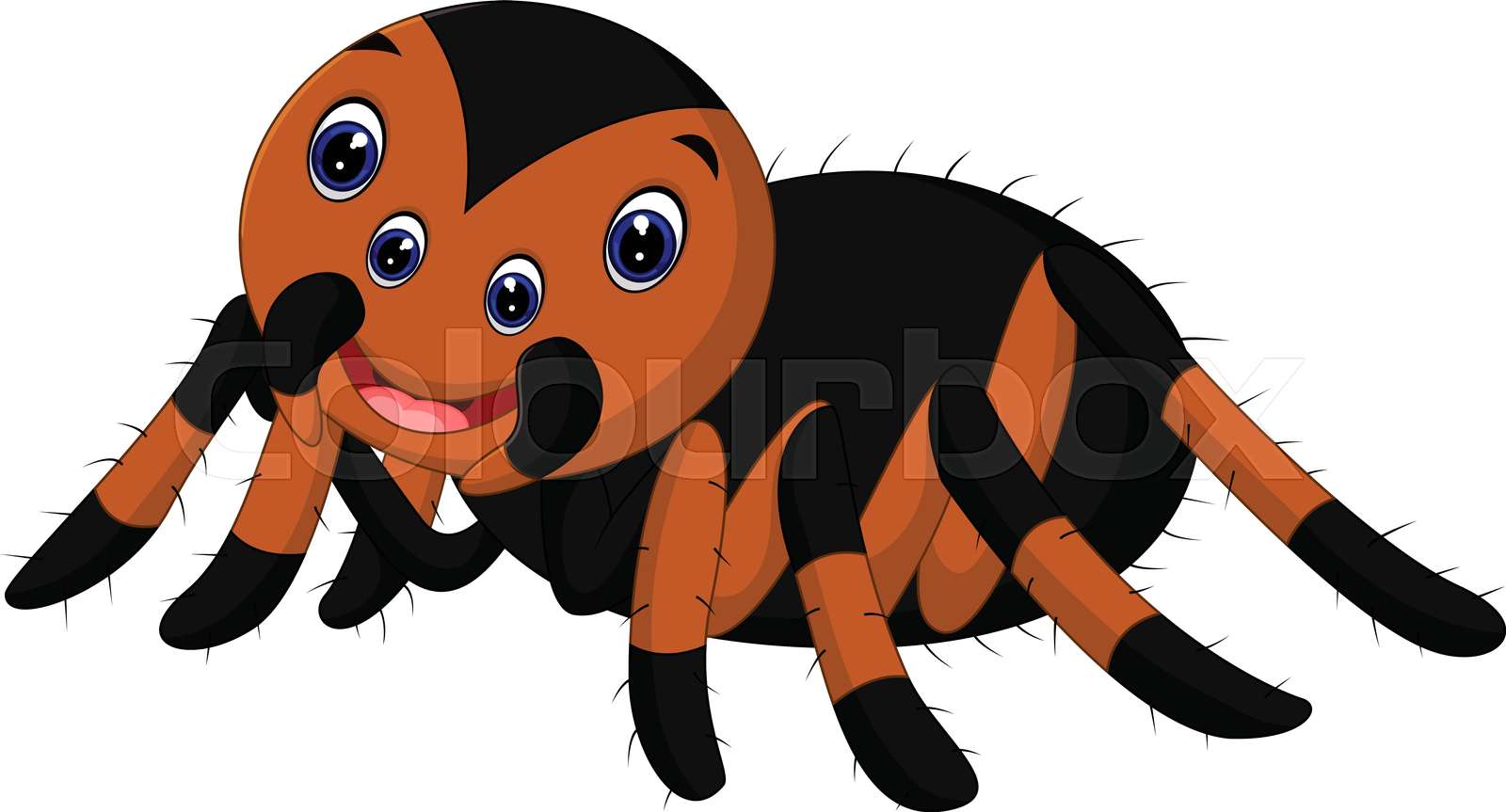Cute tarantula cartoon | Stock vector | Colourbox