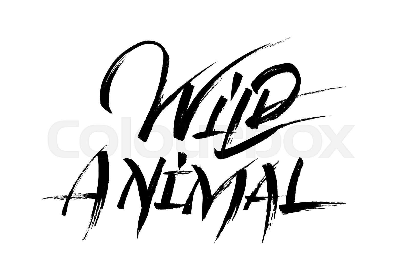 Wild animal calligraphy | Stock vector | Colourbox