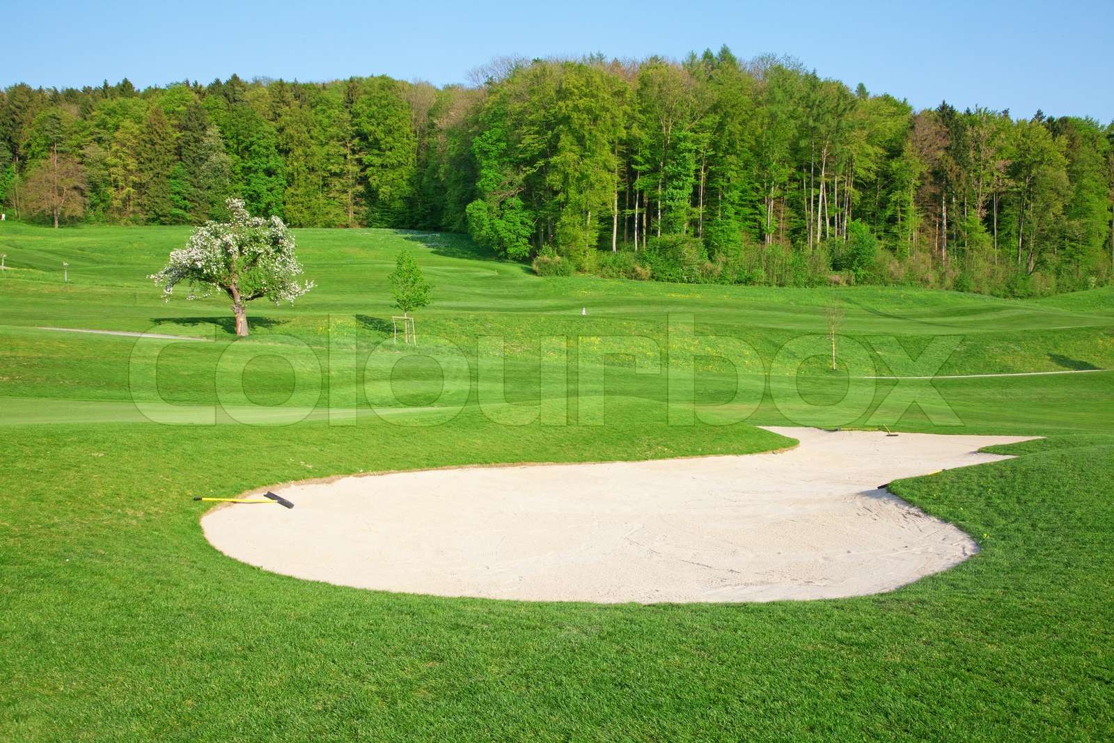 Sand trap on the golf course | Stock image | Colourbox