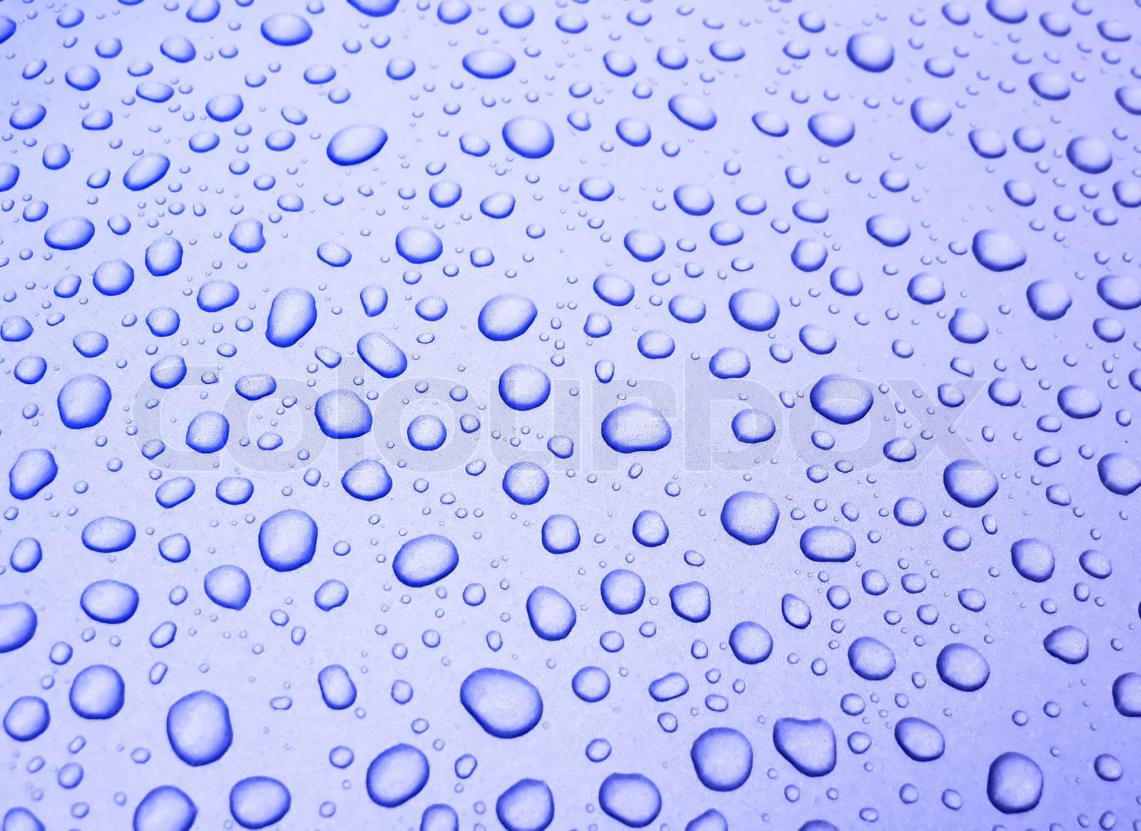 Water Drops background with big and small drops | Stock image | Colourbox