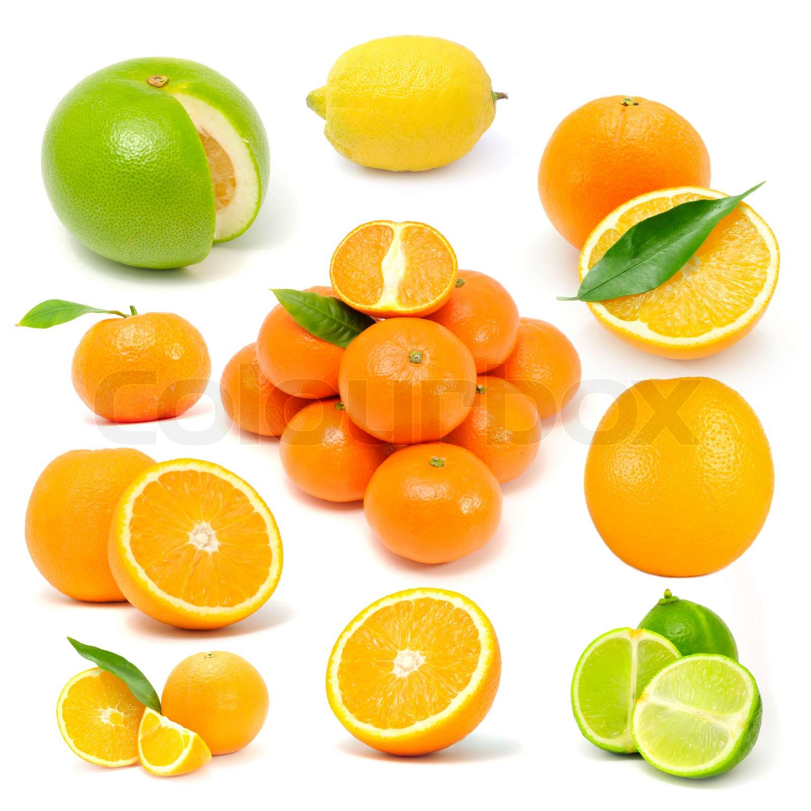 Satz von Zitrusfrüchten (Grapefruit, Zitrone, Orange, Mandarine ...