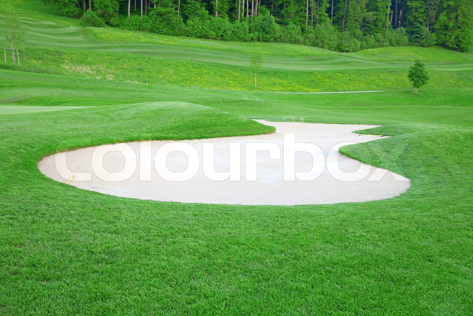 Golf: sand trap on the green grass | Stock image | Colourbox