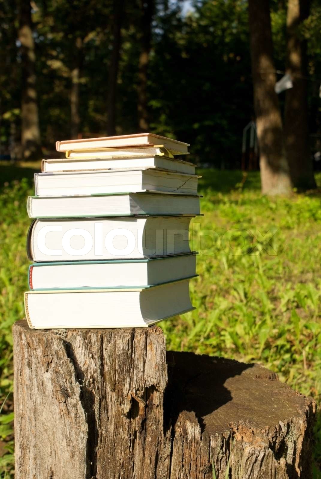 Stack of books laying outdoors on the stump | Stock image | Colourbox