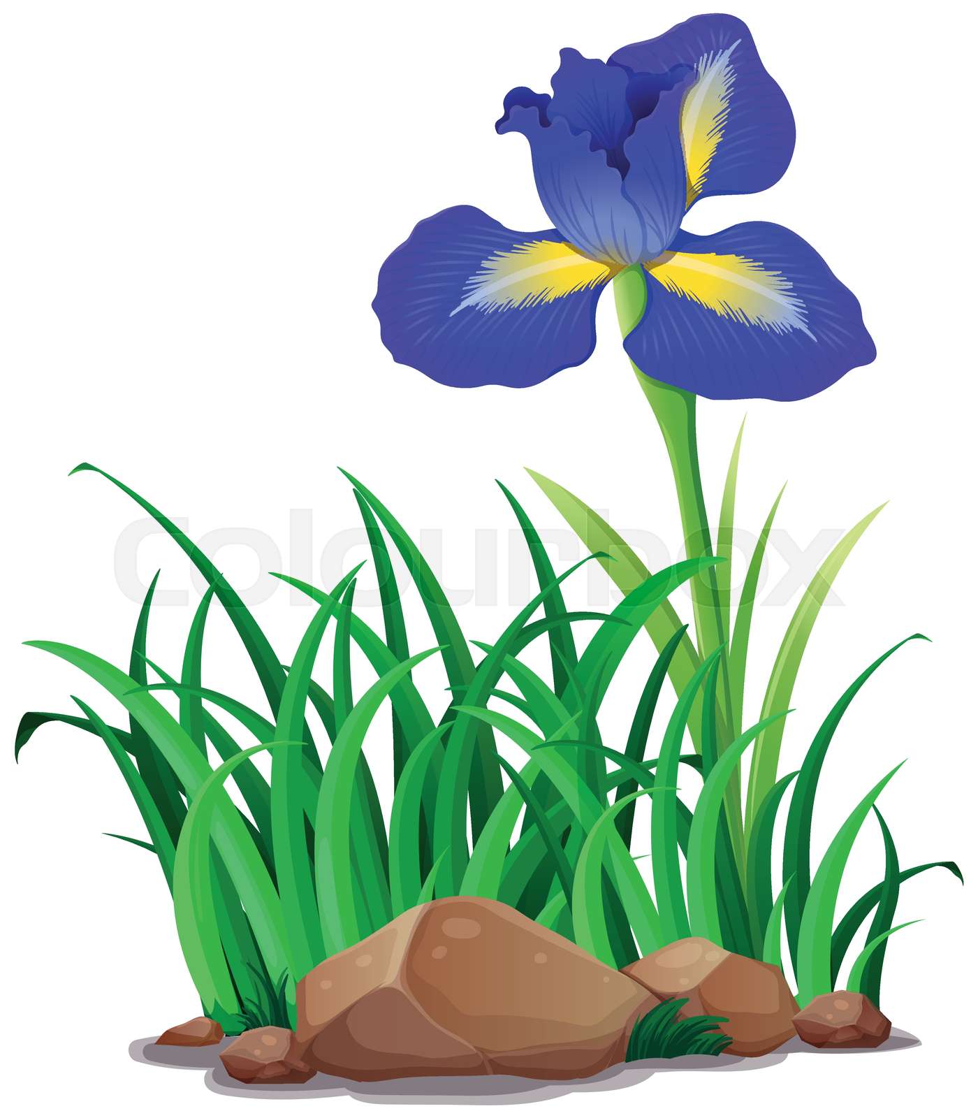 blomster, fritlagt, clipart | Stock vektor | Colourbox