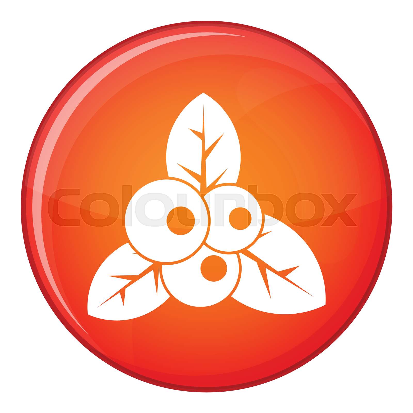 Cranberry icon, flat style | Stock vector | Colourbox