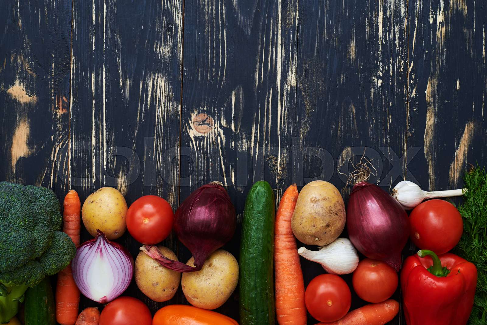 A variety of succulent vegetables arranging in order with a copy space ...