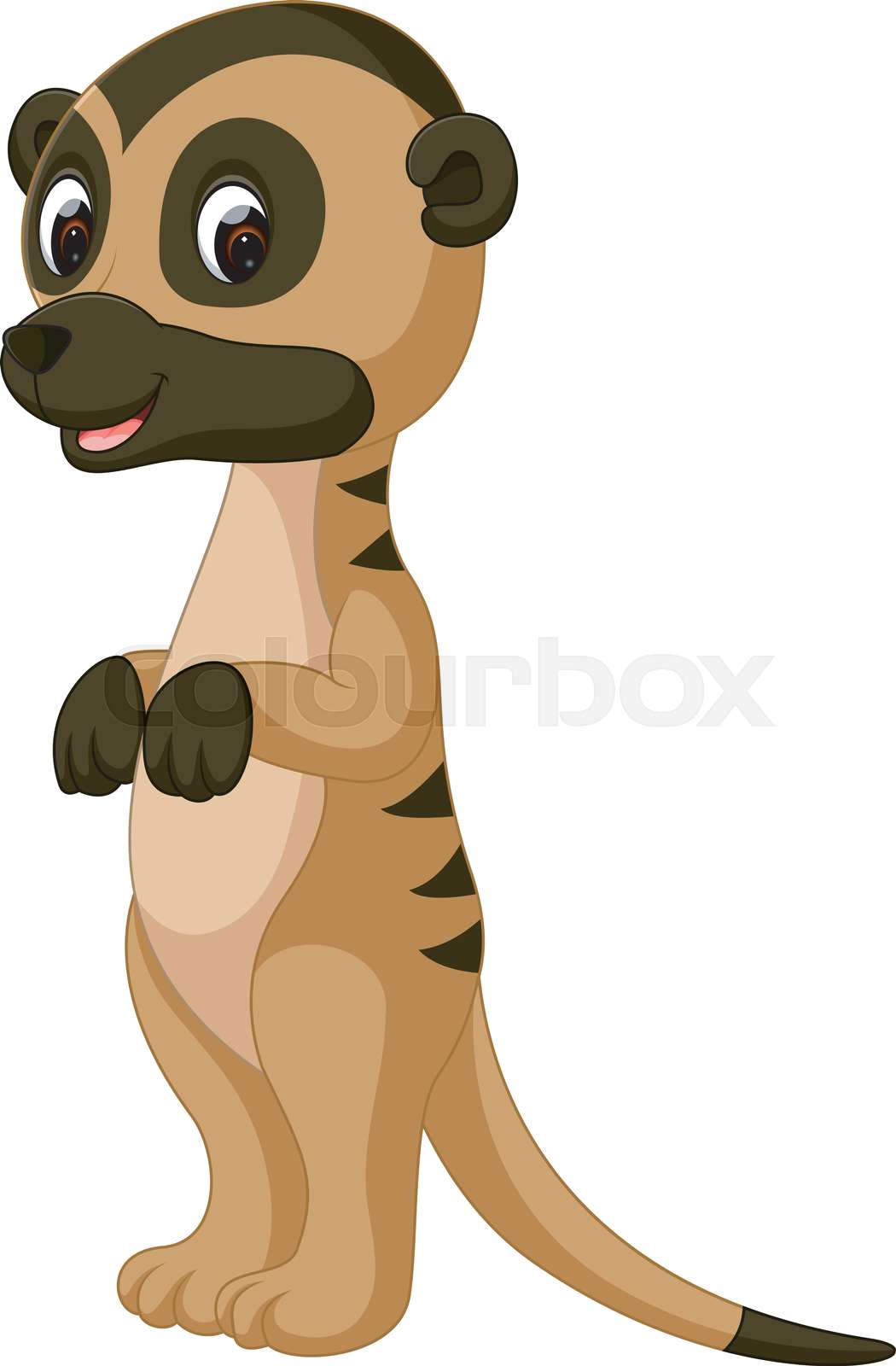 Cute meerkat cartoon | Stock vector | Colourbox