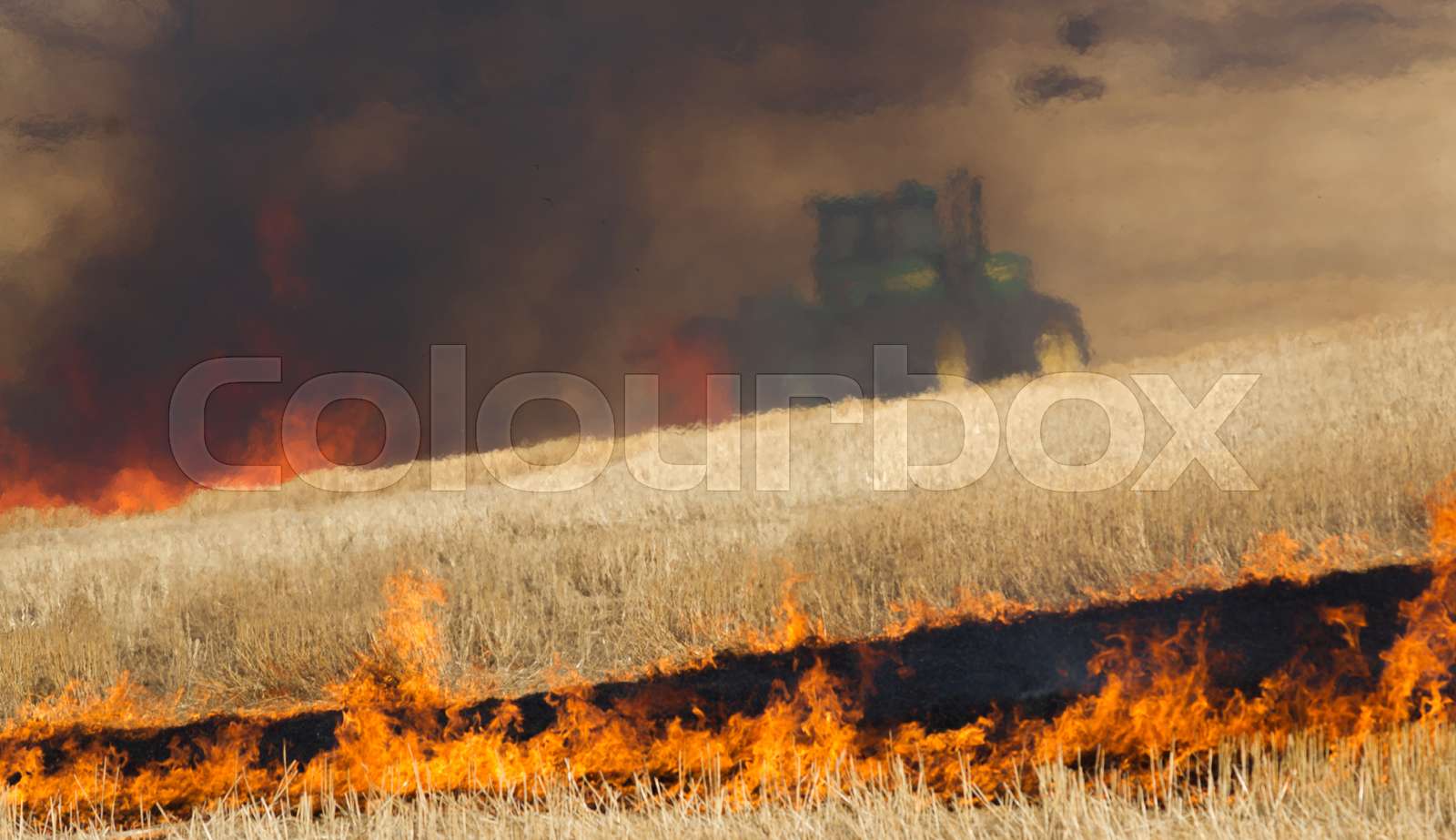 Agricultural Farmers Burn Plant Stalks Harvest Fire Tractor | Stock ...