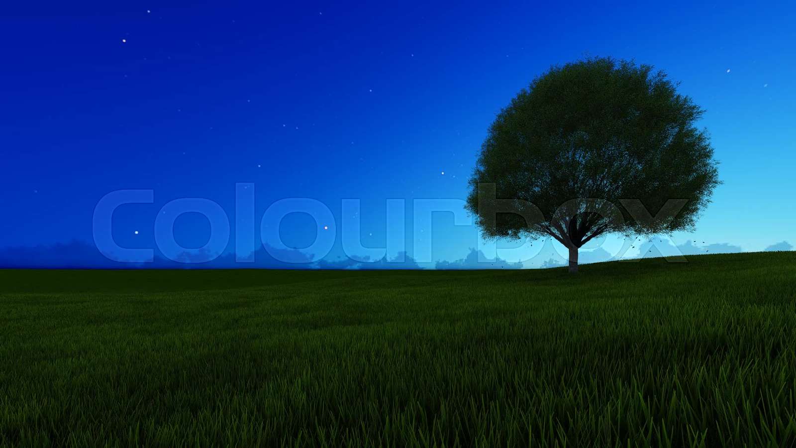 Sunset Single Tree with wind Animation | Stock video | Colourbox