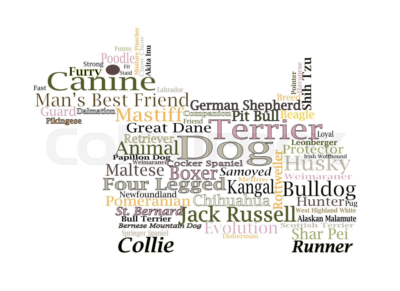 Canine Themed Dog Word Cloud Typography Illustration Stock Image Canine Themed Dog Word Cloud Typography Illustration Stock Image