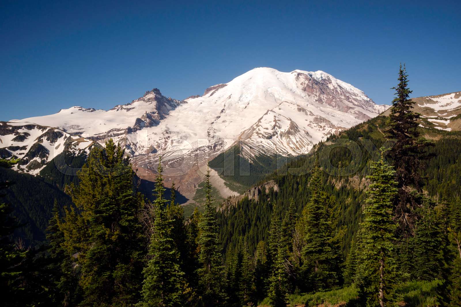 Trail High on Burroughs Mountain Cascade Range Mt. Rainier Background ...
