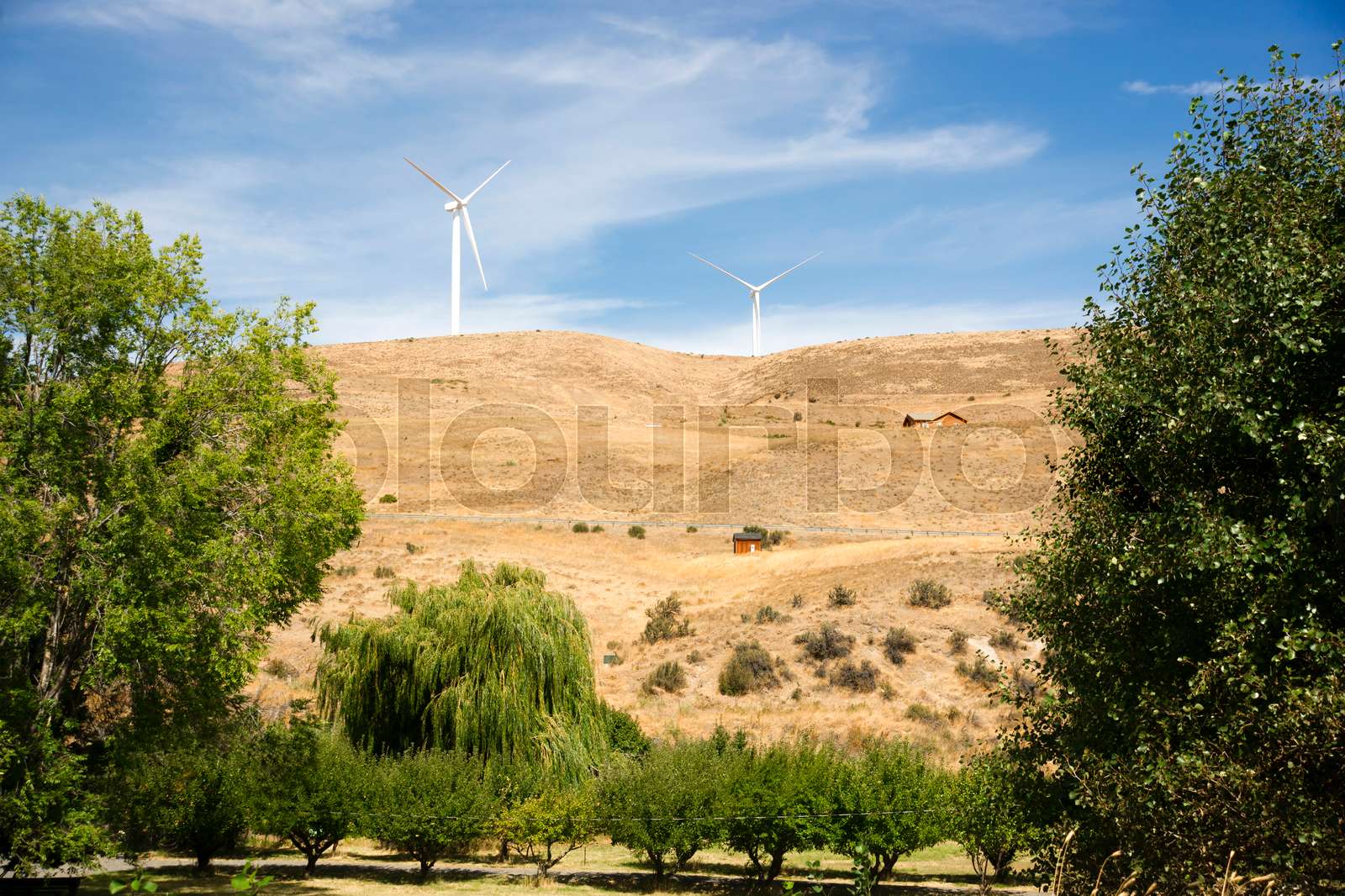 Rural Country Side Modern Green Wind Energy Generator Turbine | Stock ...