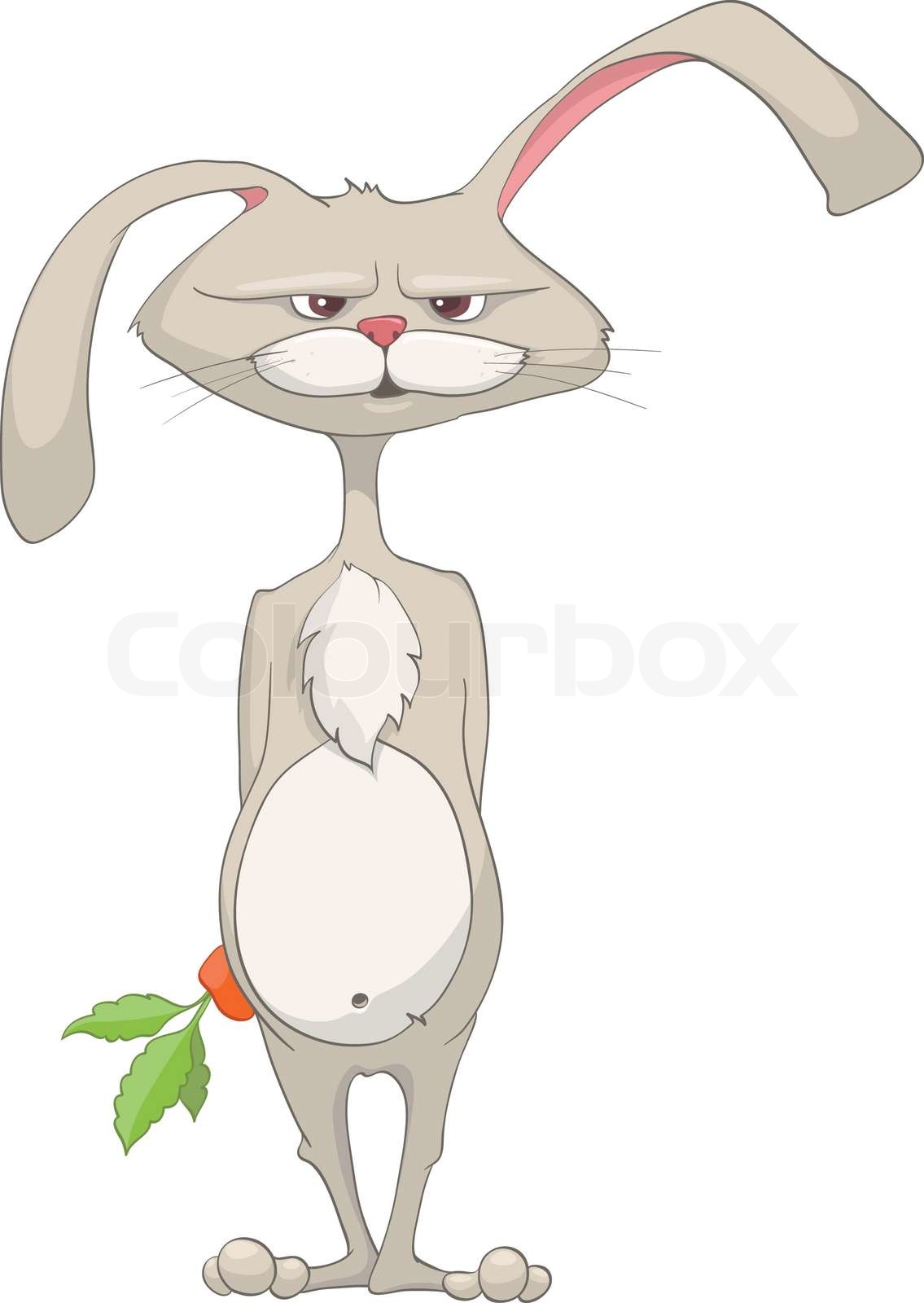 Cartoon Character Rabbit Isolated on White Background | Stock vector ...