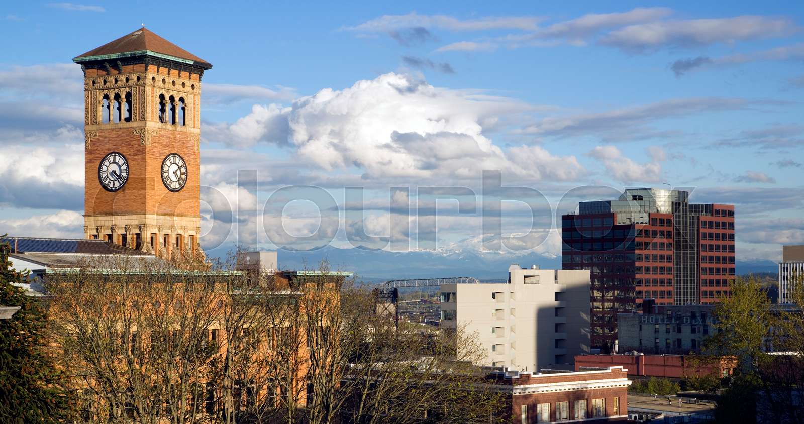 Tacoma Skyline Old City Hall Brick Building Architectural Clock Tower ...