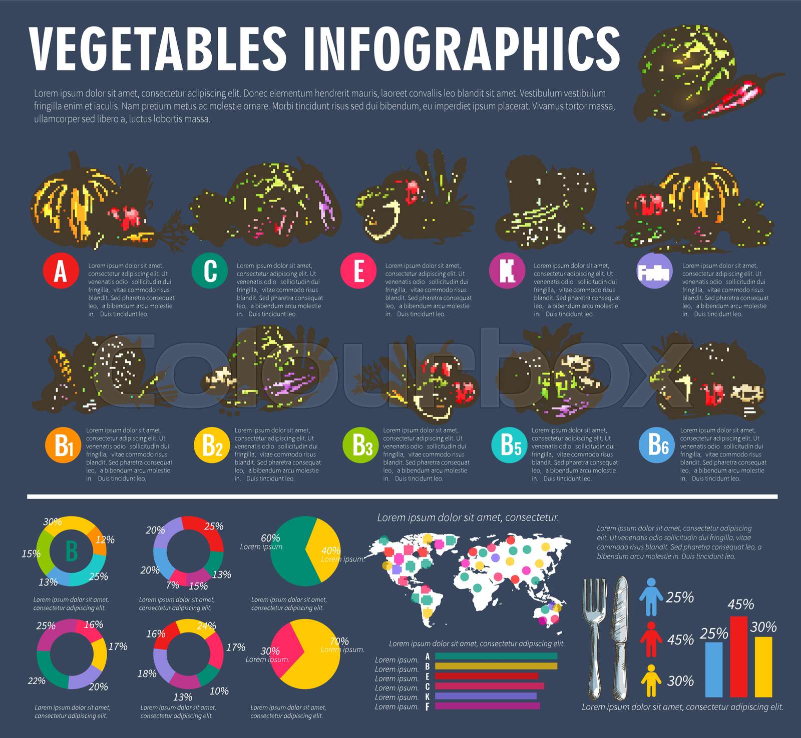 Vegetable infographics with graphs and veggies | Stock vector | Colourbox