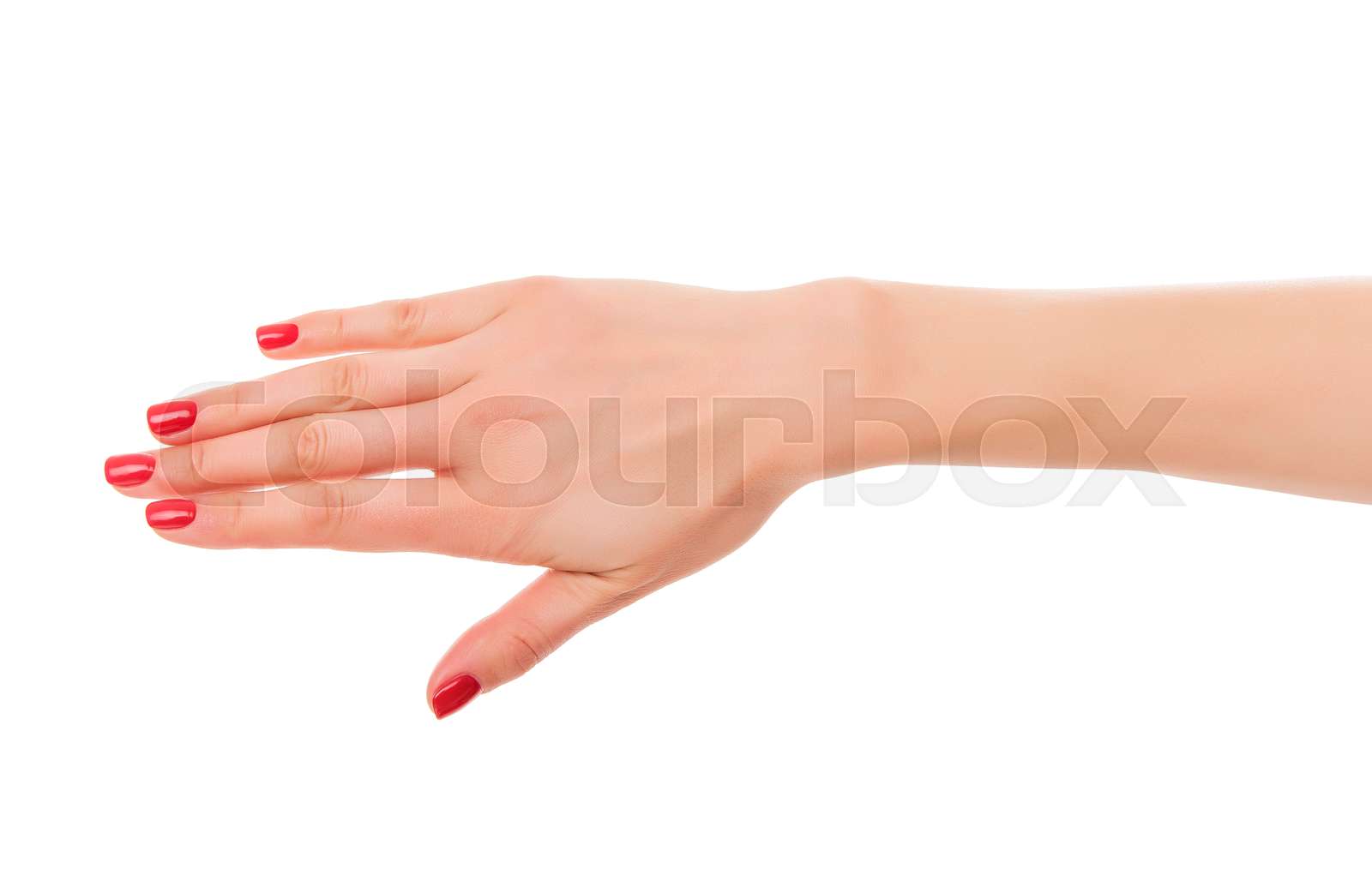 hand, aufweisend, gestreckt | Stock Bild | Colourbox