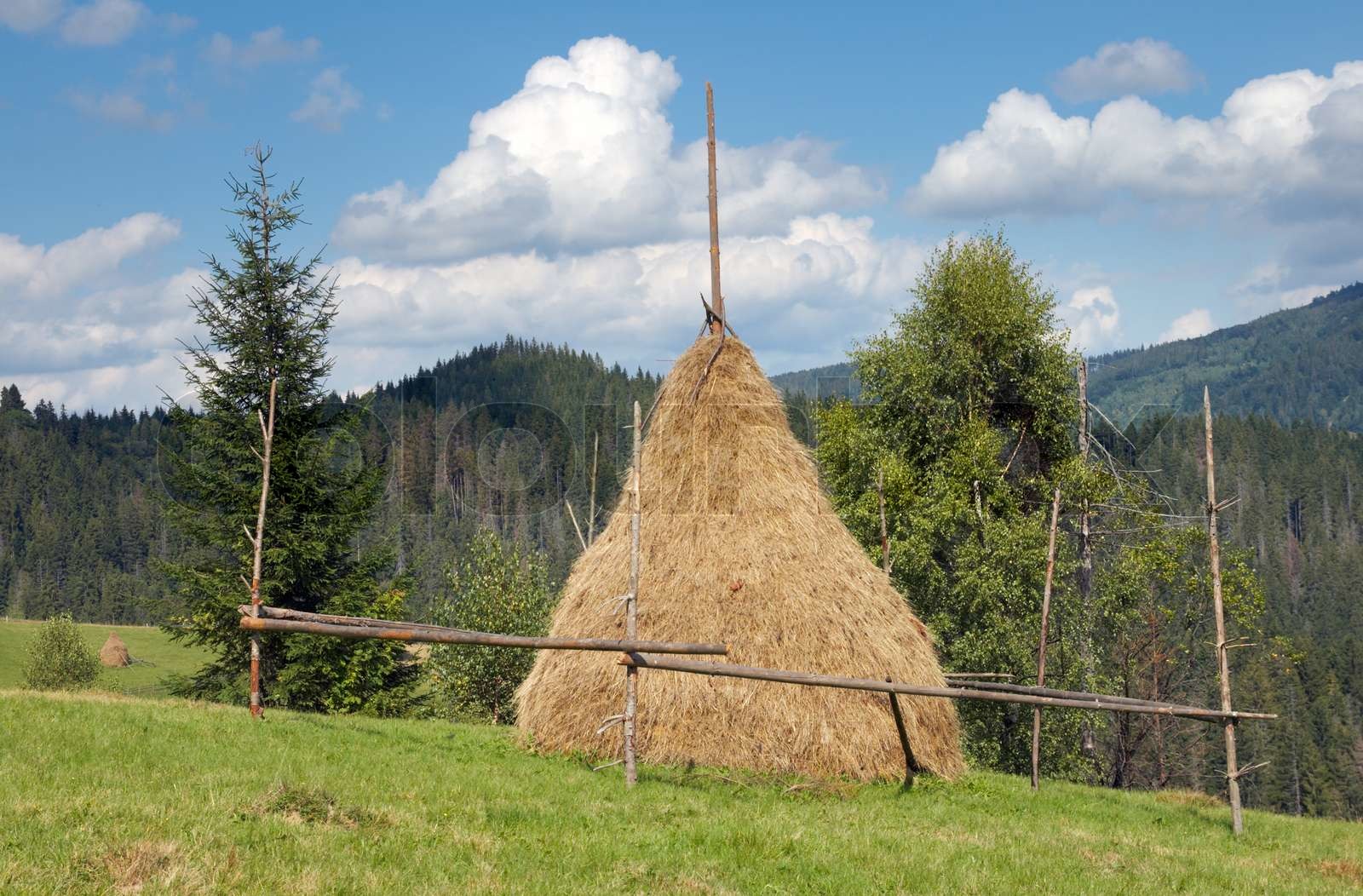 Sommer in den Bergen grünen Wiese mit Stapeln von Heu (Karpaten Mt- s ...