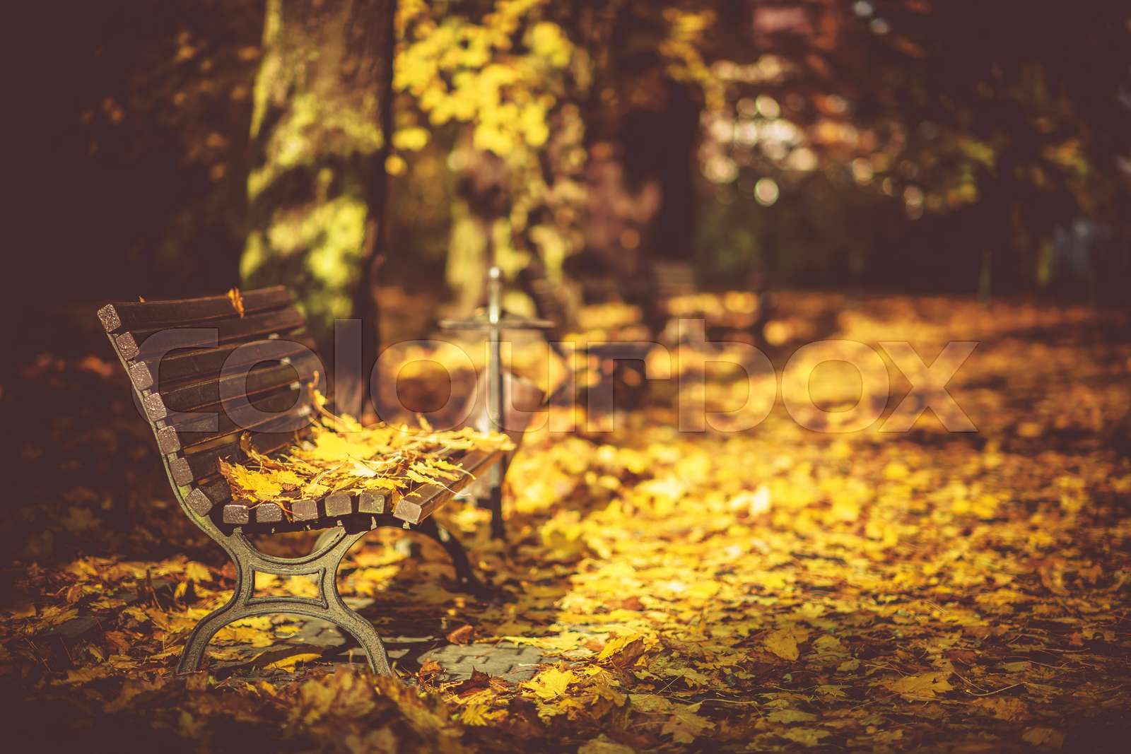 Peaceful Park Bench | Stock image | Colourbox